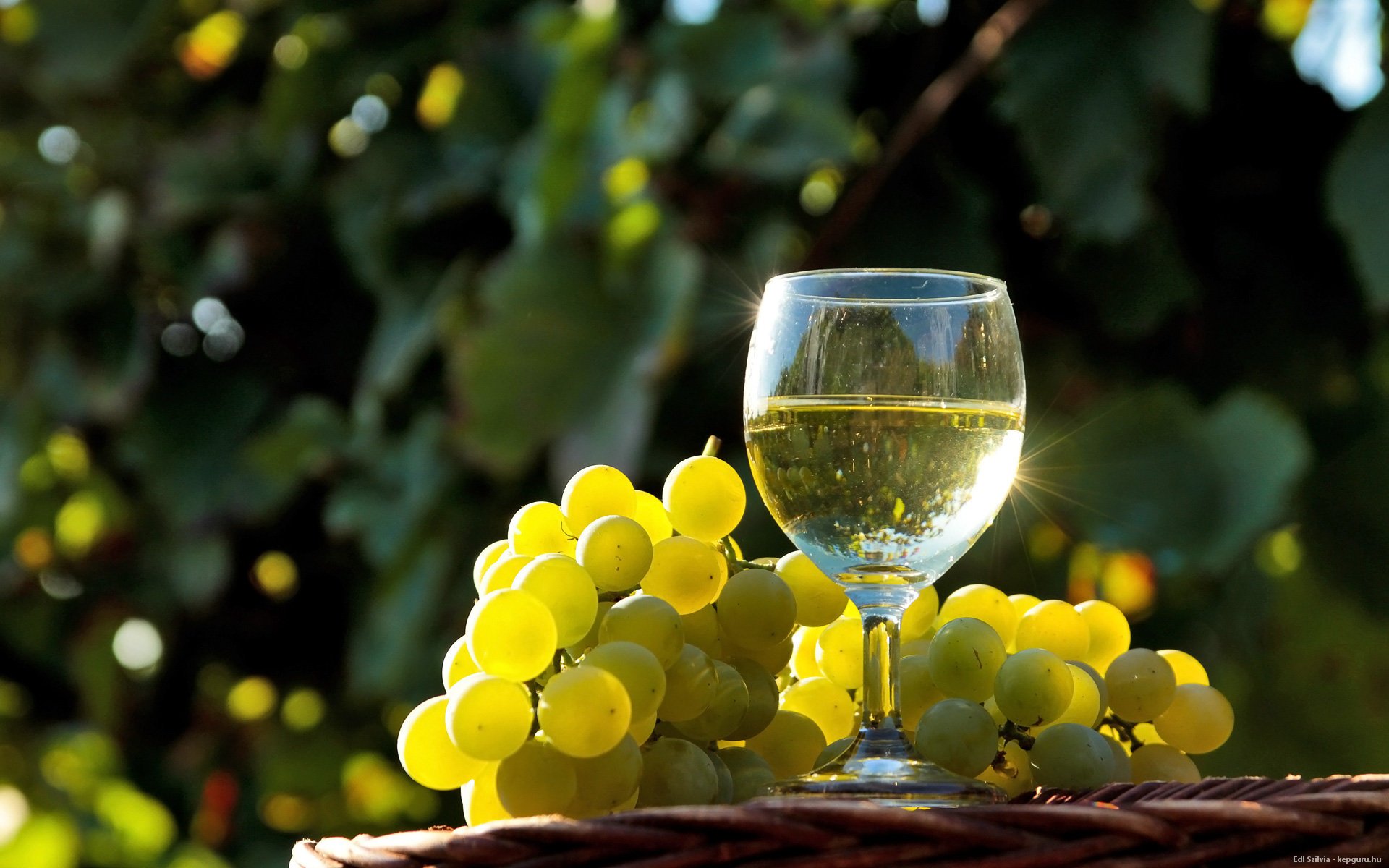 Wine HD Wallpaper