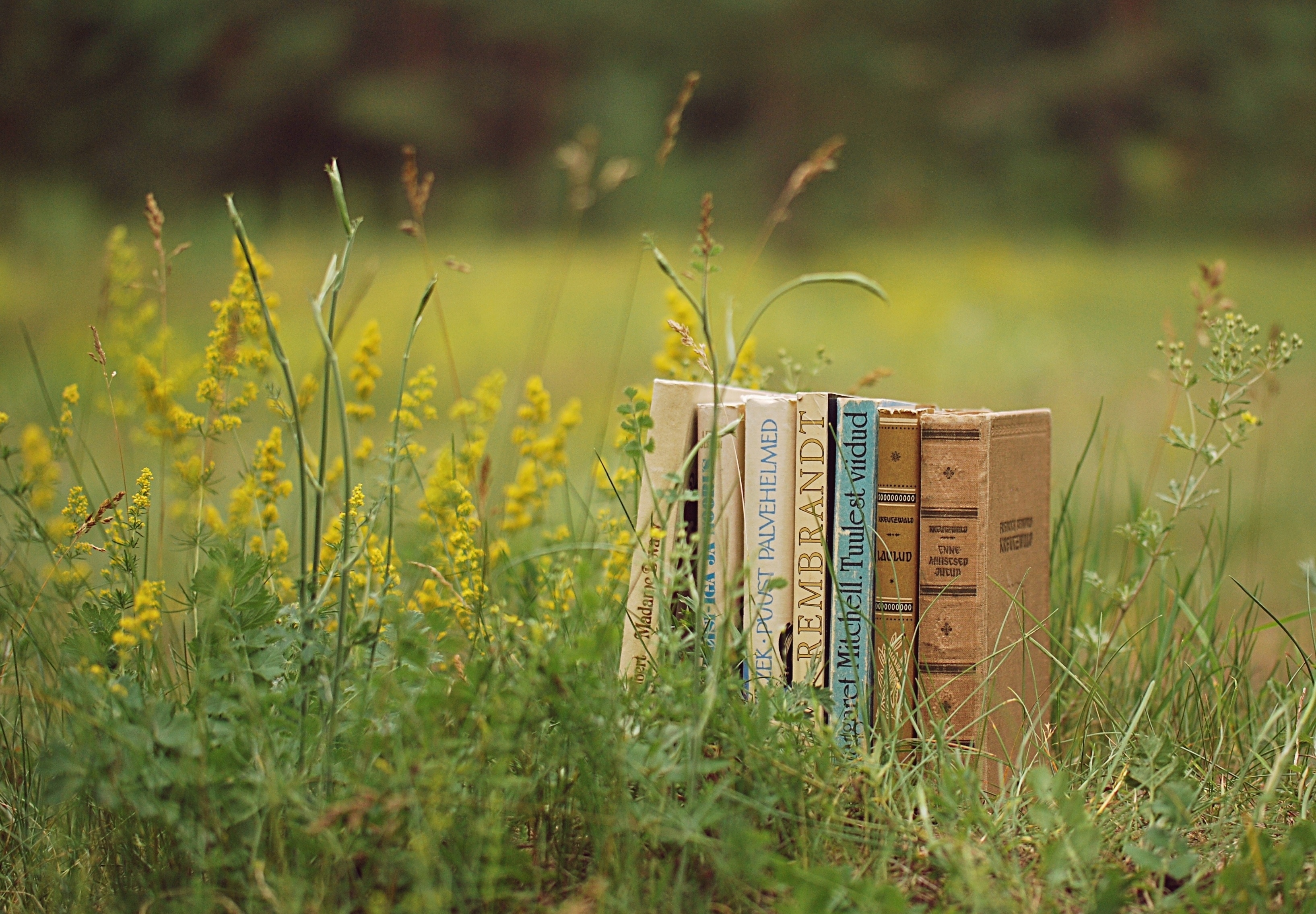 HD Wallpaper of Books in Nature