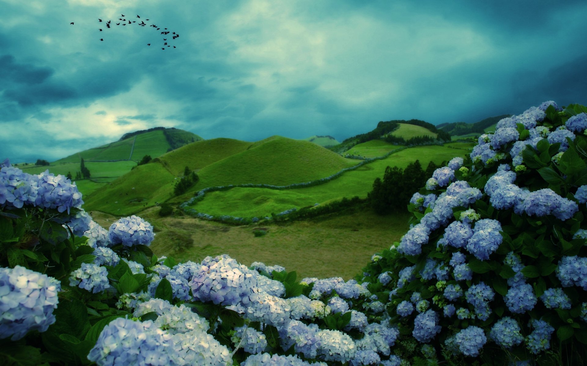 HD Nature Escape: Serene Landscape of Blooming Hills