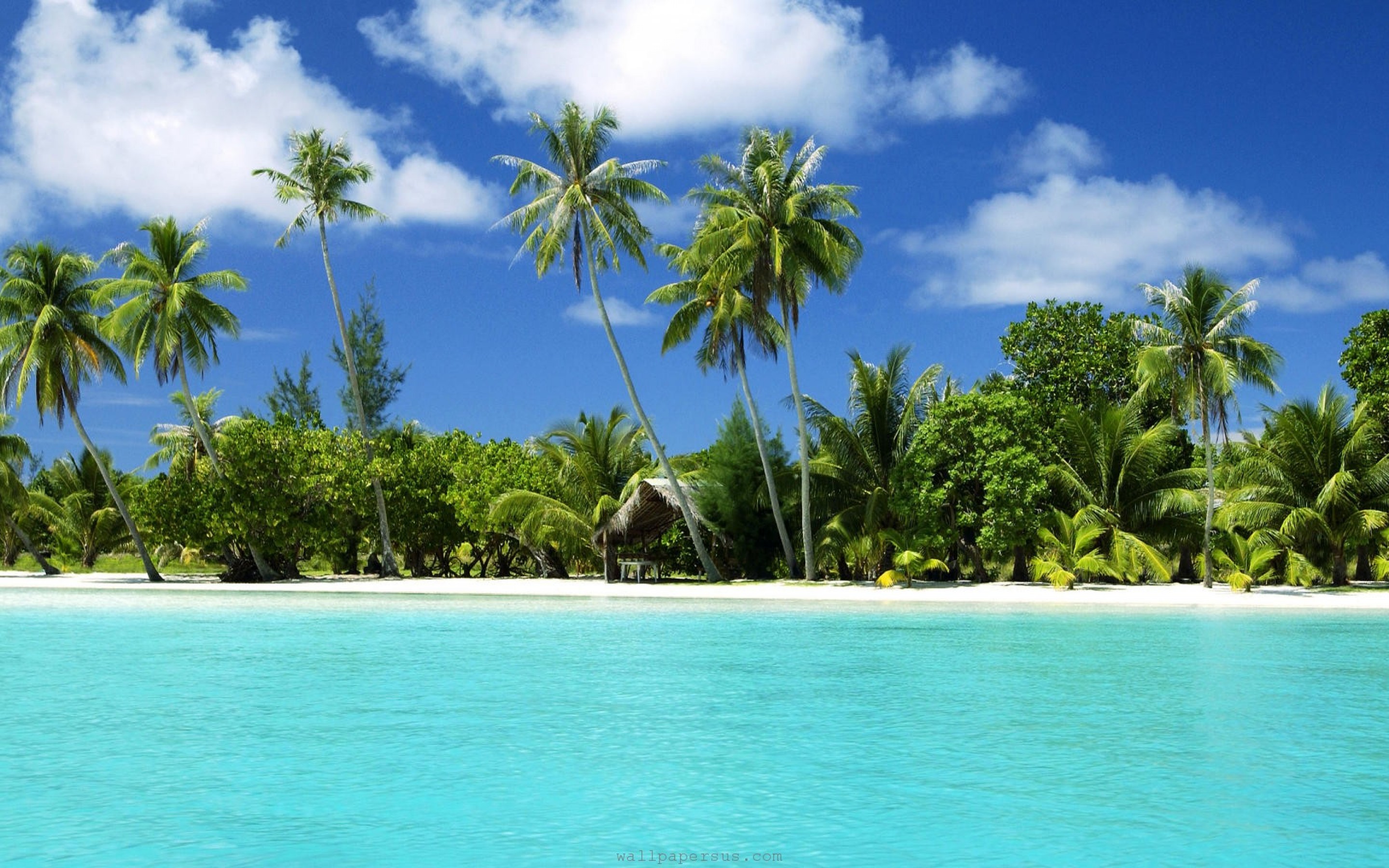 Download Photography Beach HD Wallpaper