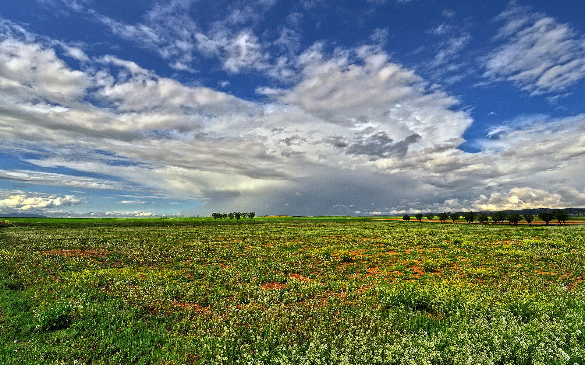 Download Nature Field HD Wallpaper