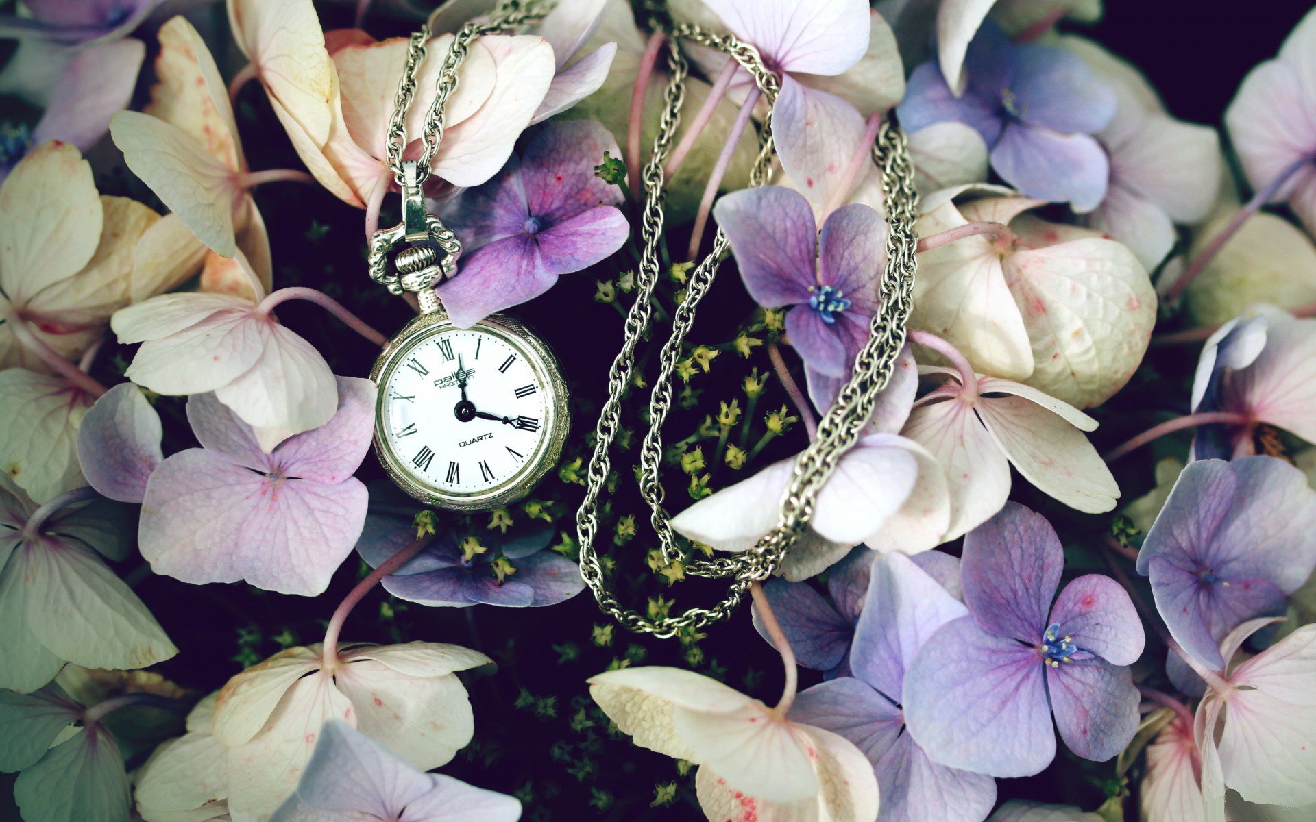 HD Wallpaper of a Vintage Watch Among Delicate Flowers