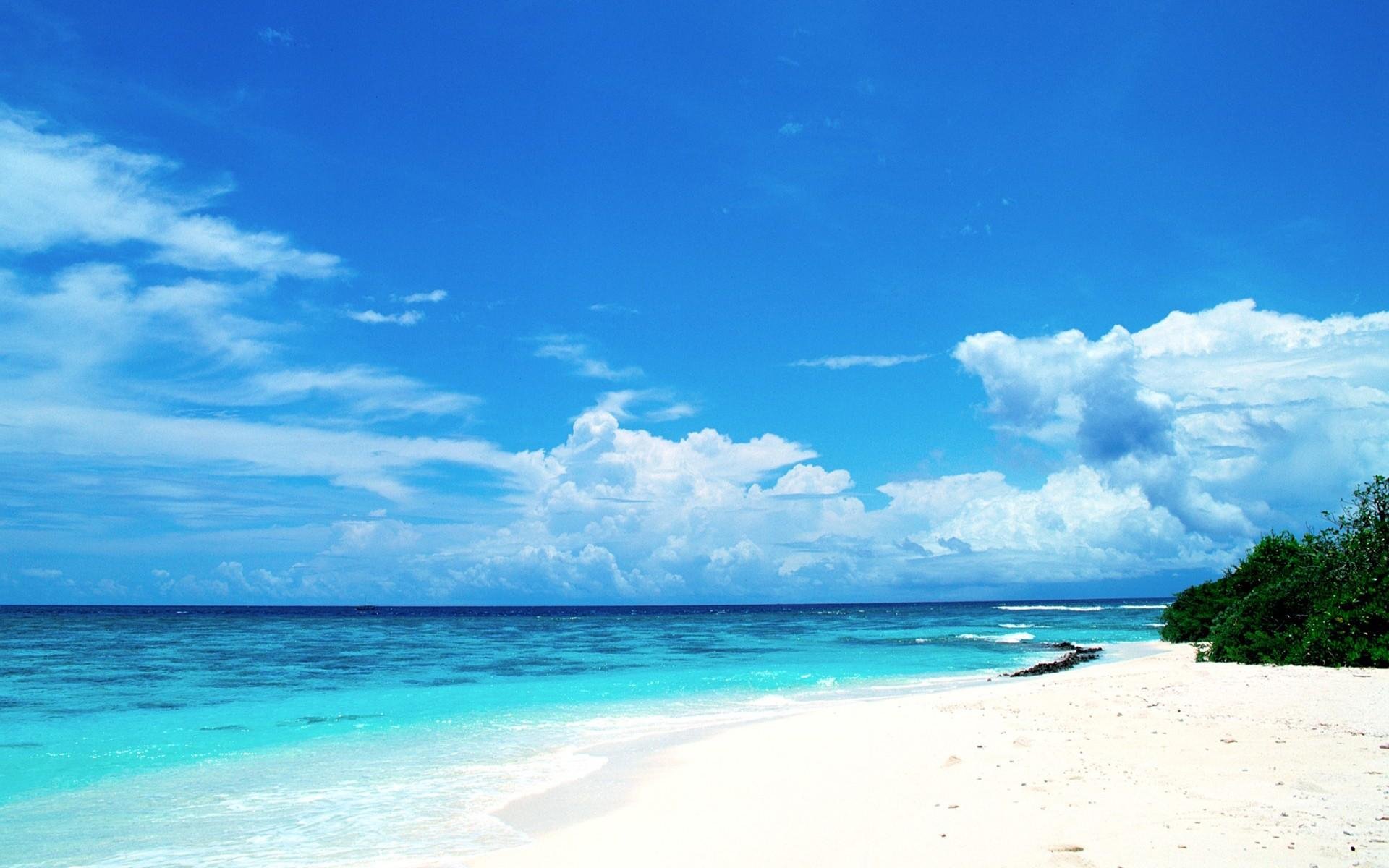 Download Nature Beach HD Wallpaper | 1920x1200 | Wallpaper Abyss