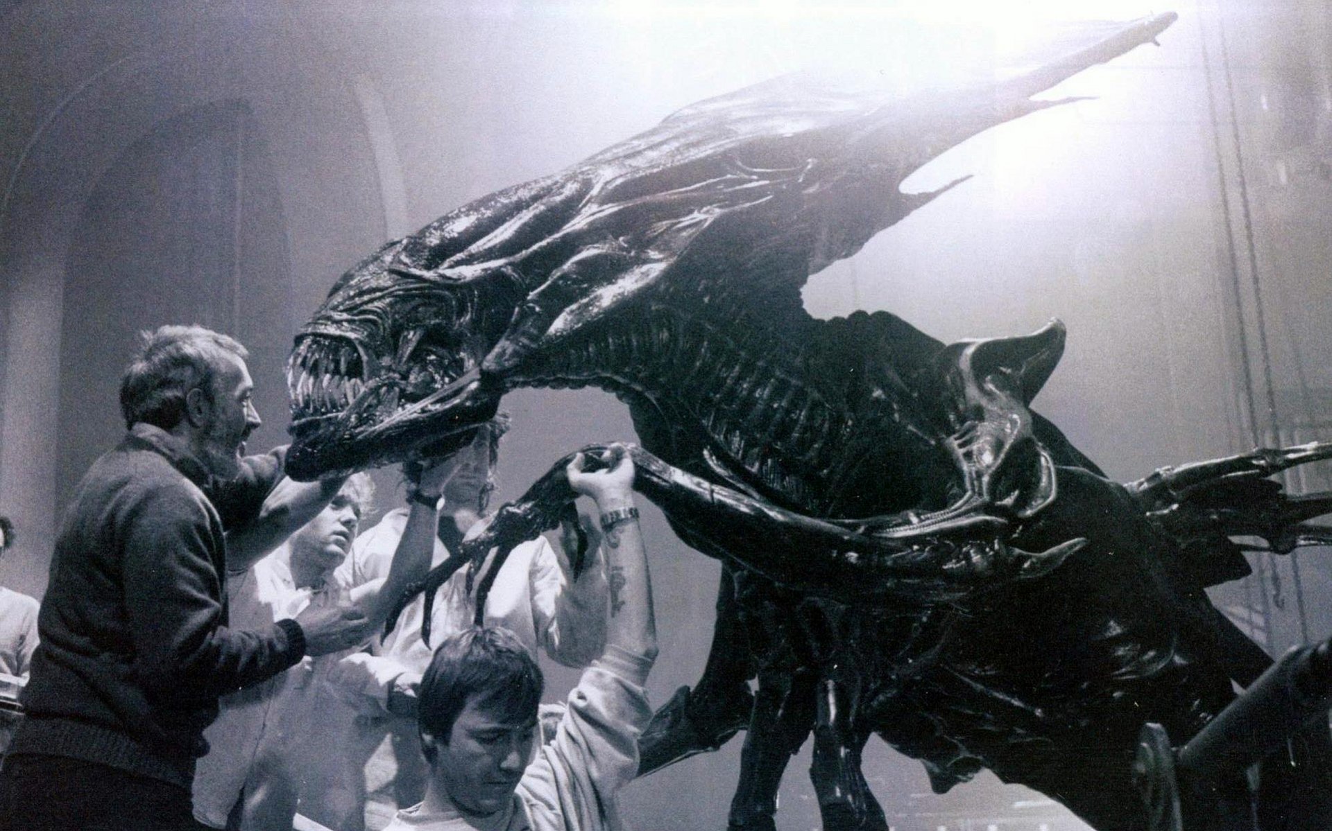 Alien Movie HD Wallpaper: Iconic Sci-Fi Creature Up Close