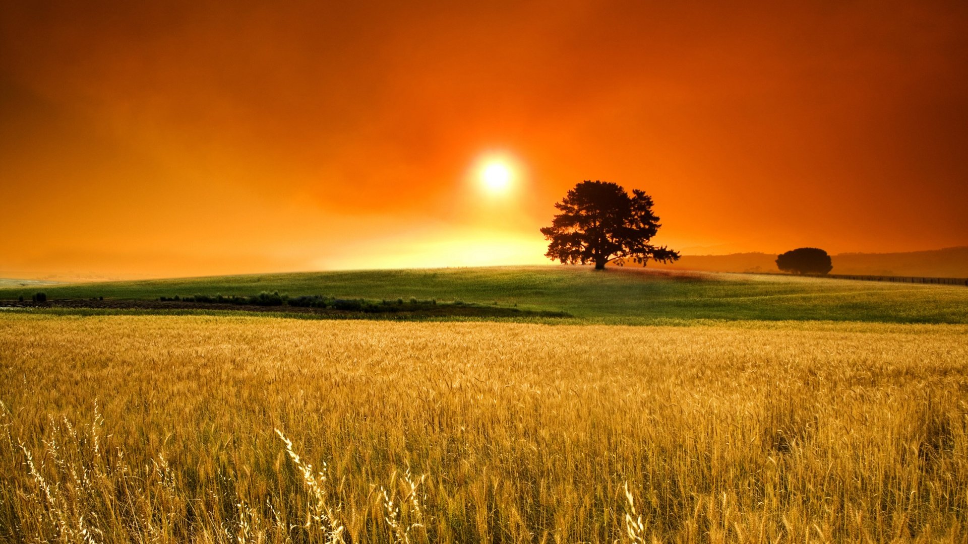 Golden Horizon: Stunning Nature Landscape HD Wallpaper