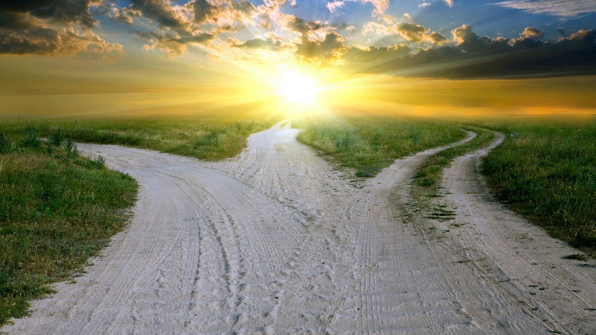 Download Nature Path HD Wallpaper