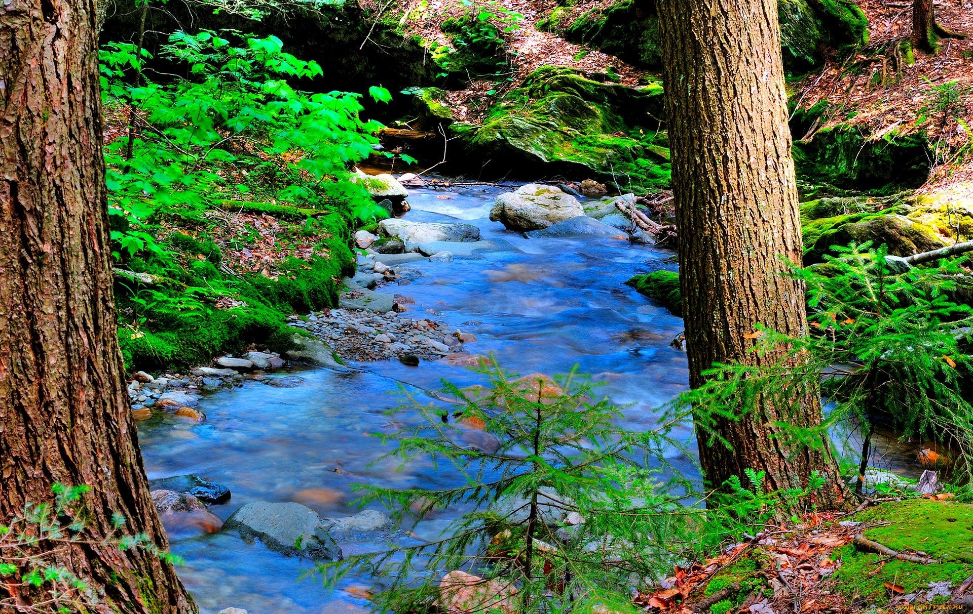 Download Nature Stream HD Wallpaper