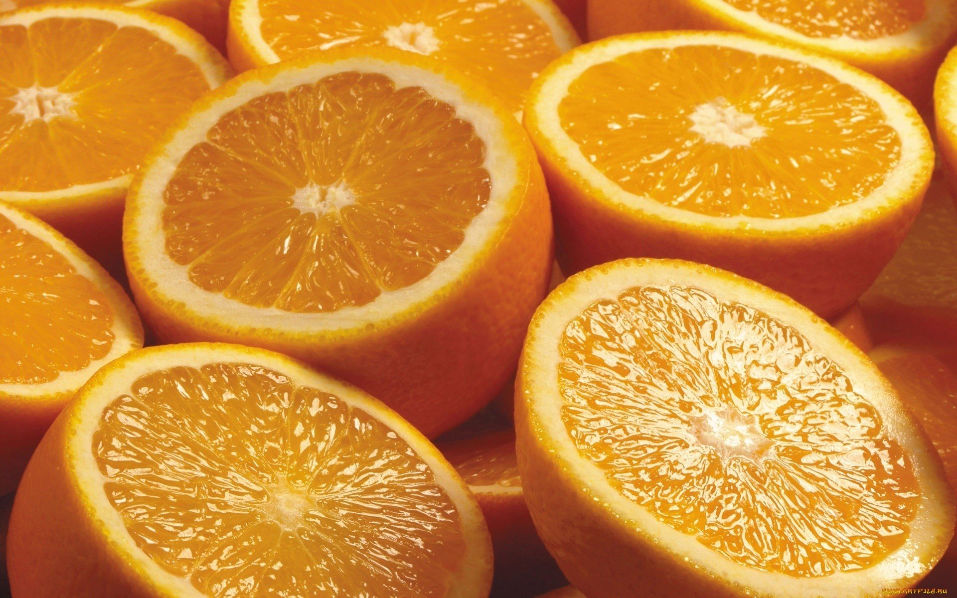 Fresh Orange Delight - HD Wallpaper