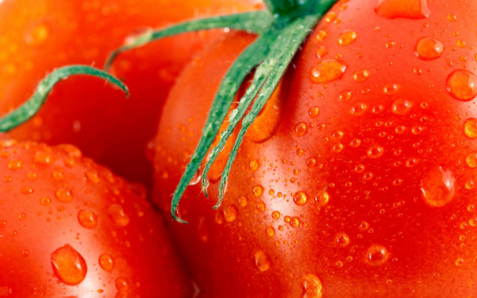 Tomato Full HD Wallpaper and Background Image | 2880x1800 | ID:407216