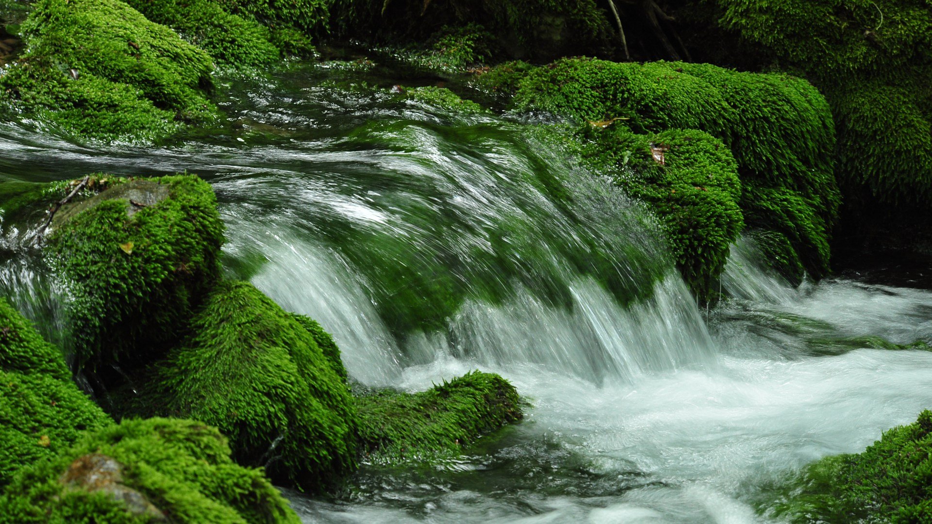 Download Nature Stream HD Wallpaper | 1920x1080 | Wallpaper Abyss