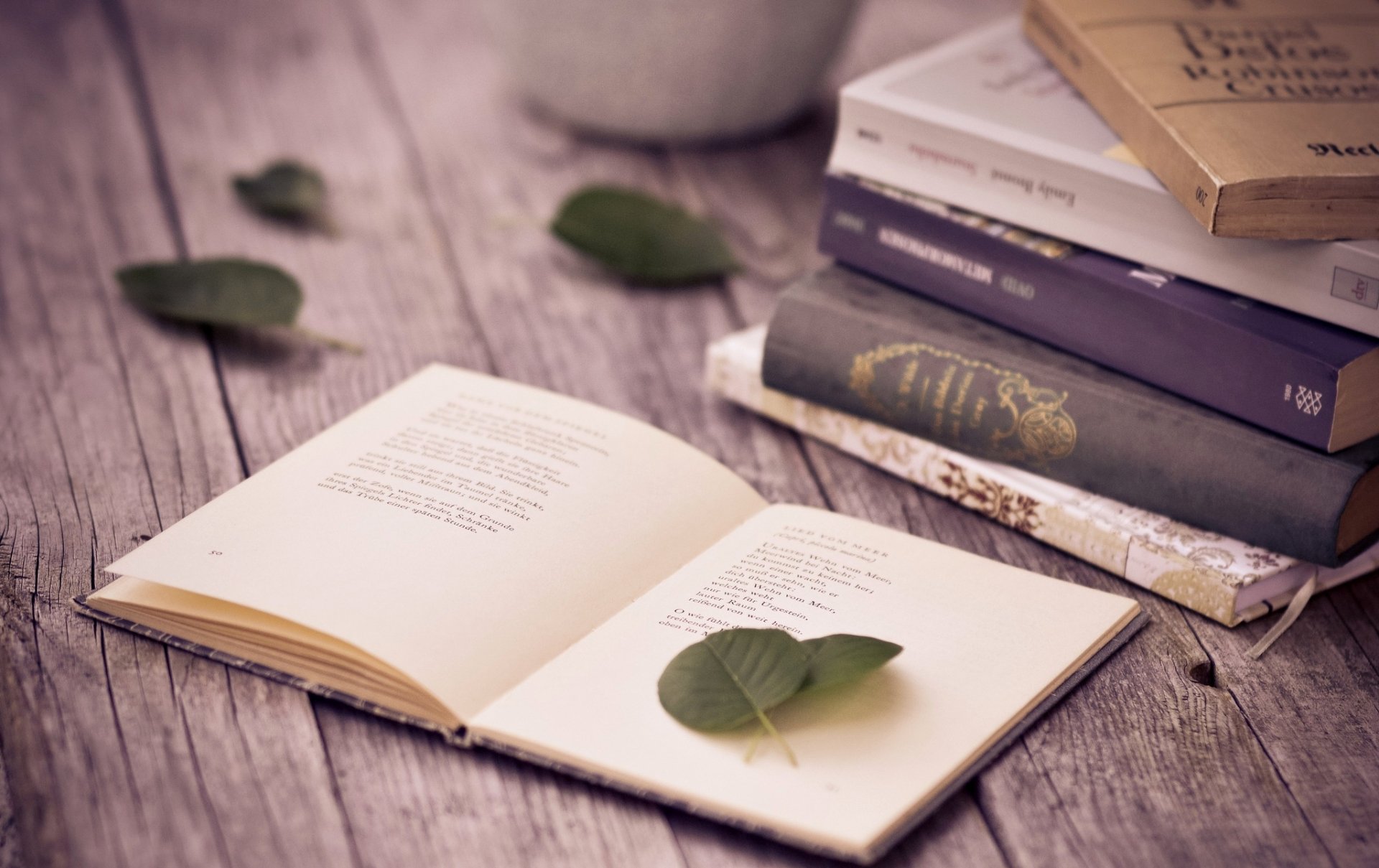 Serene Book Escape: HD Wallpaper for Literary Lovers