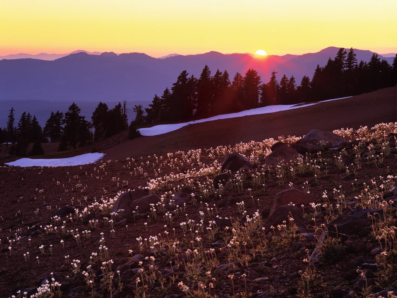 Download Nature Sunrise Wallpaper