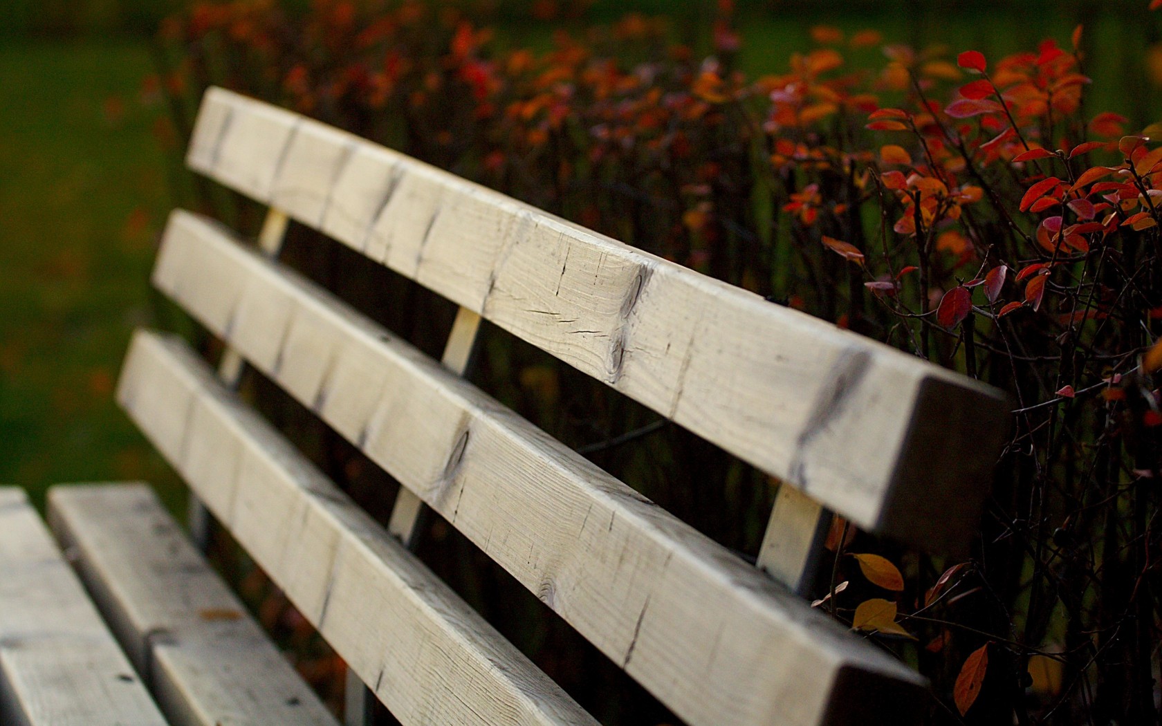 Download Man Made Bench Wallpaper