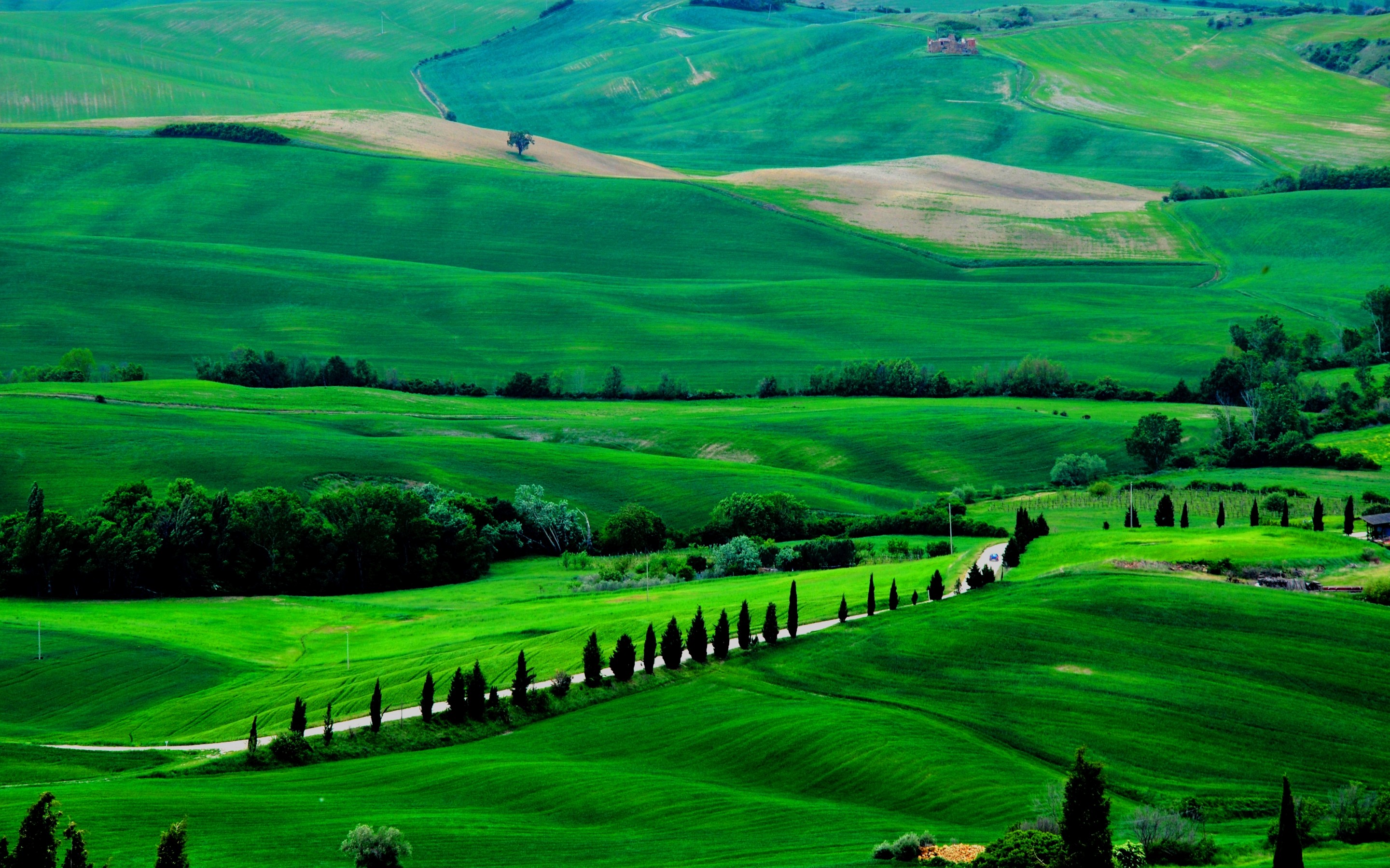 Serene Green: A Stunning HD Nature Landscape Wallpaper