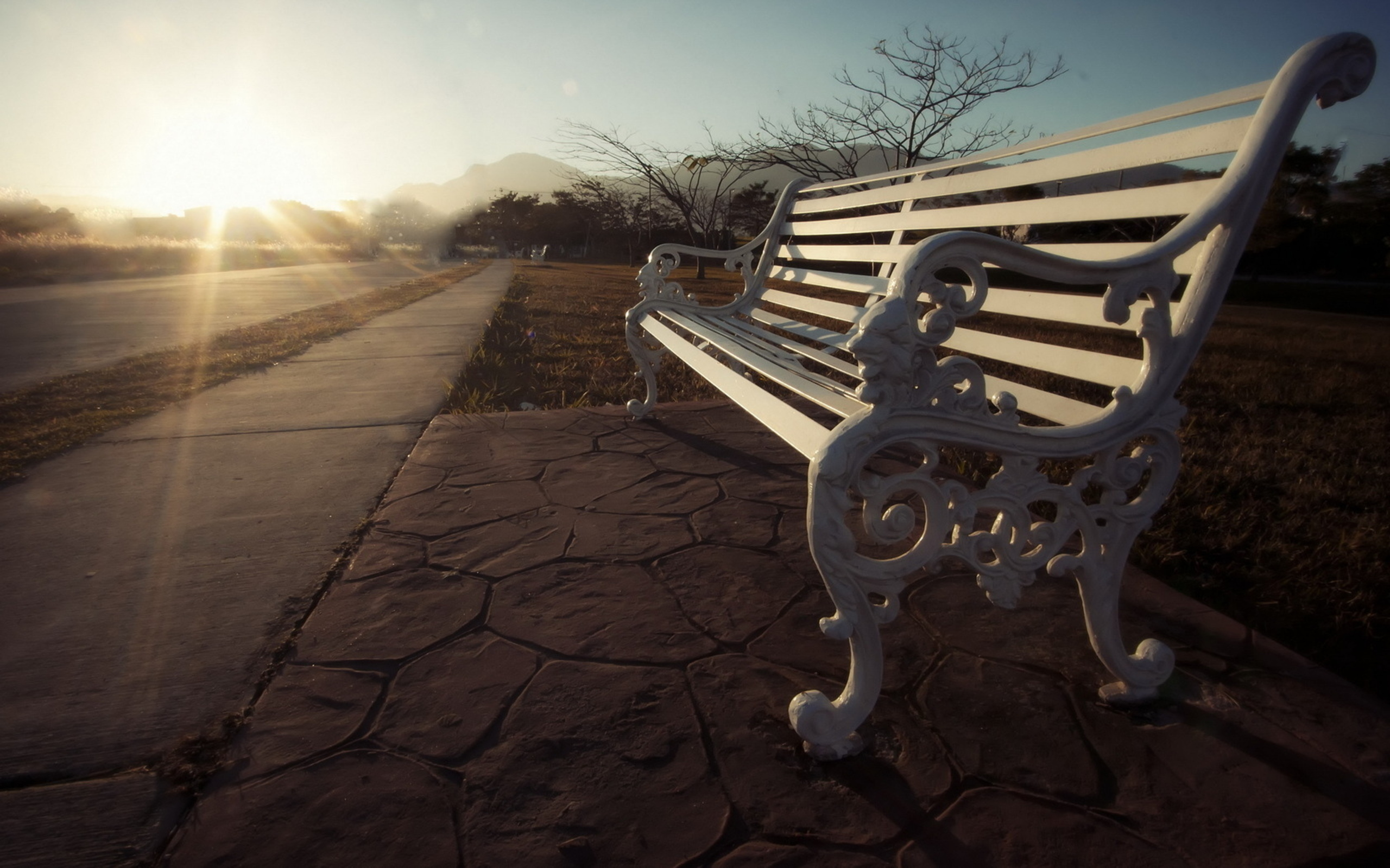 Download Man Made Bench HD Wallpaper