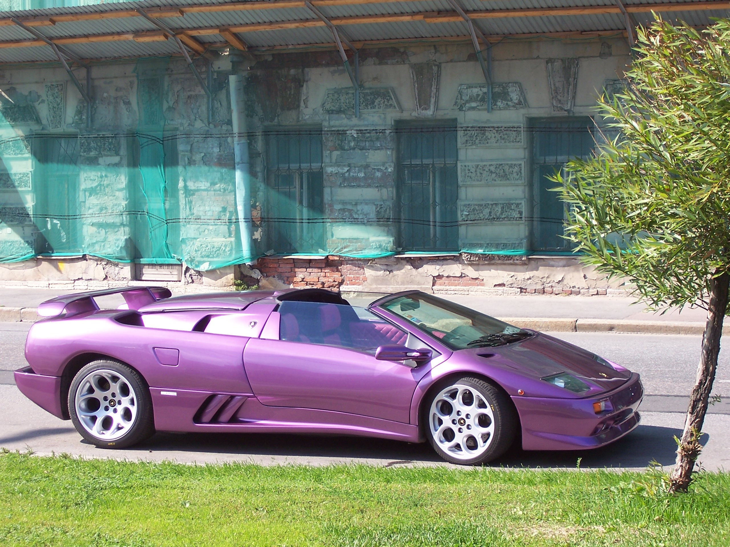 Purple Lamborghini