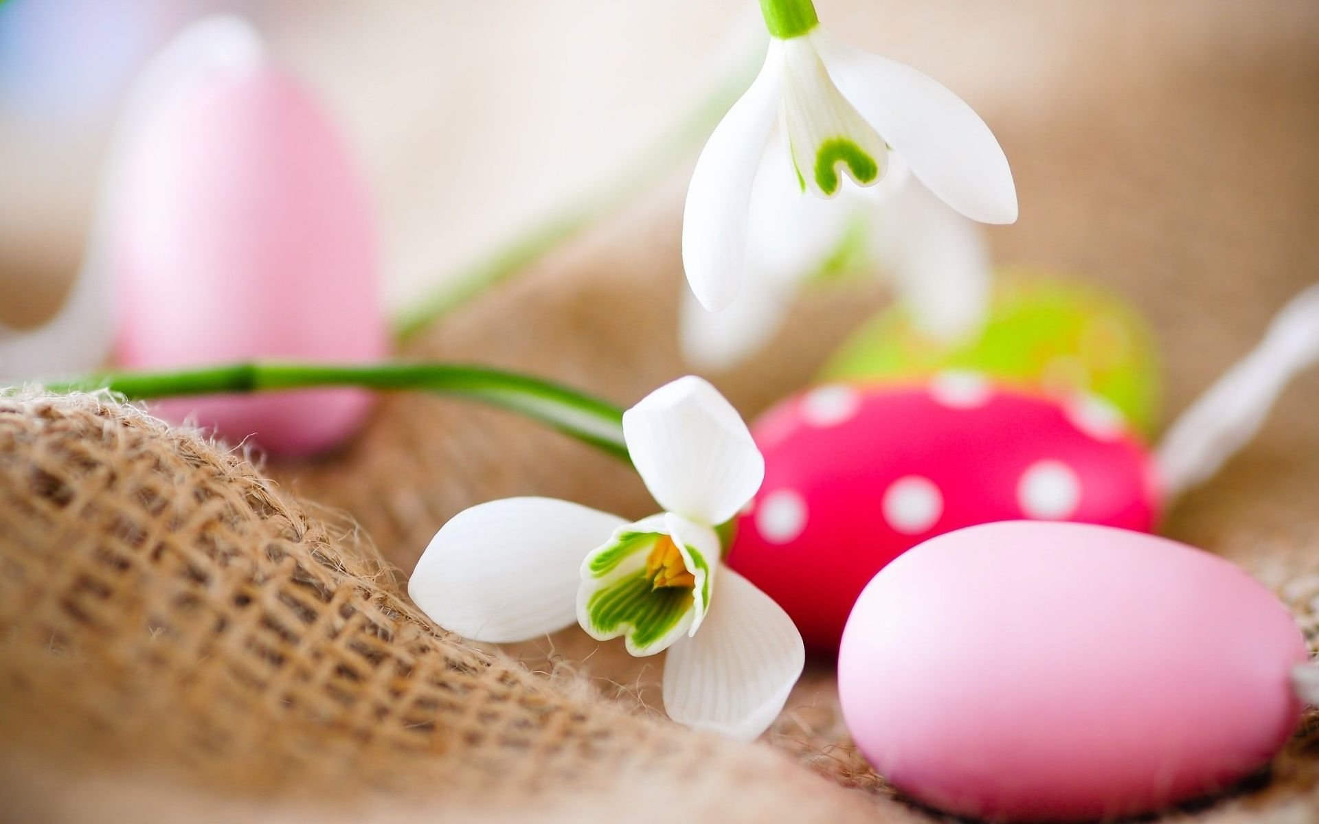 Easter Serenity: HD Wallpaper of Spring Delights
