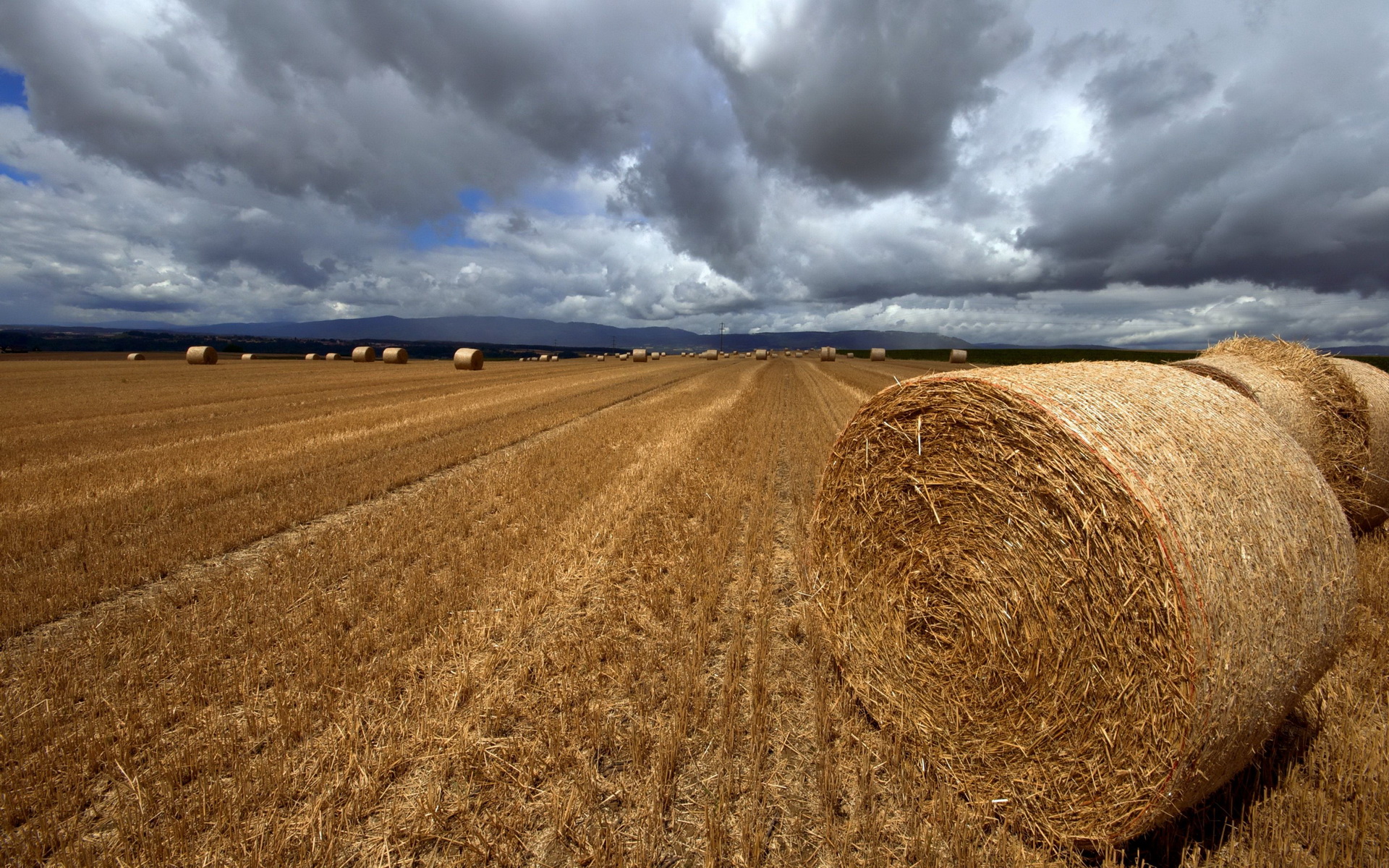 Straw Field Wallpaper