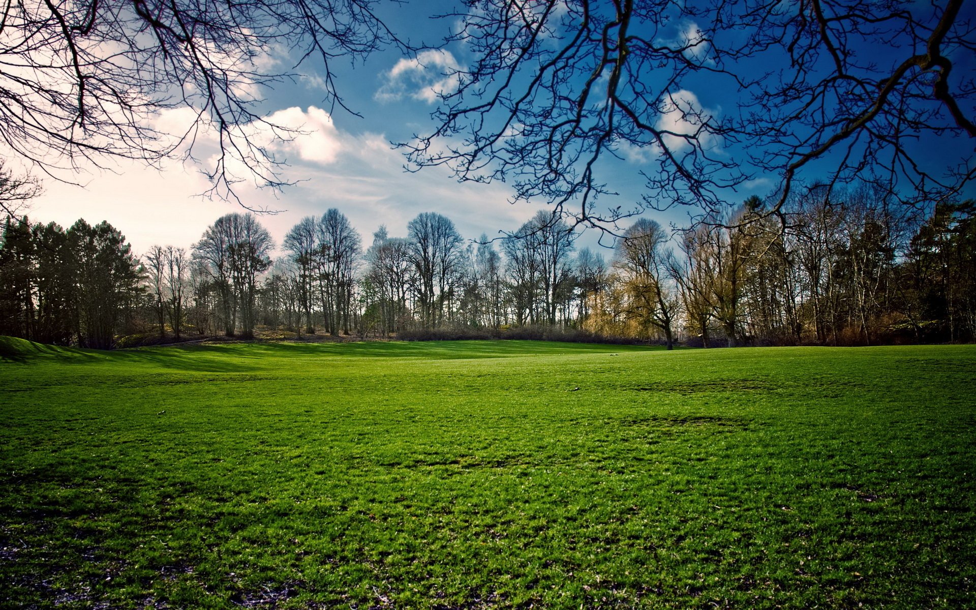 Download Nature Spring HD Wallpaper