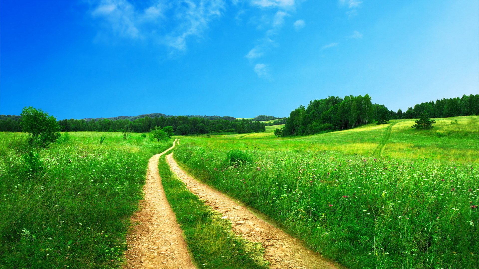 Download Nature Path HD Wallpaper
