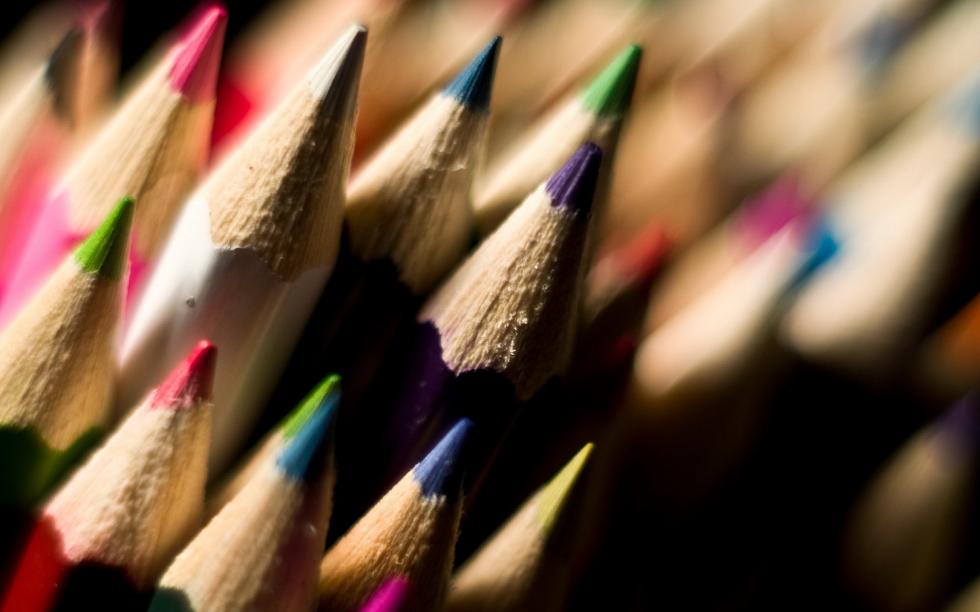 Vivid Pencil Tips in HD: A Sharp Photography Masterpiece