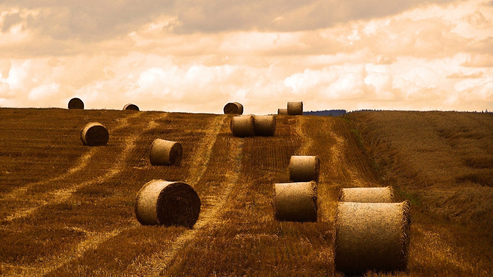 Download Nature Haystack HD Wallpaper