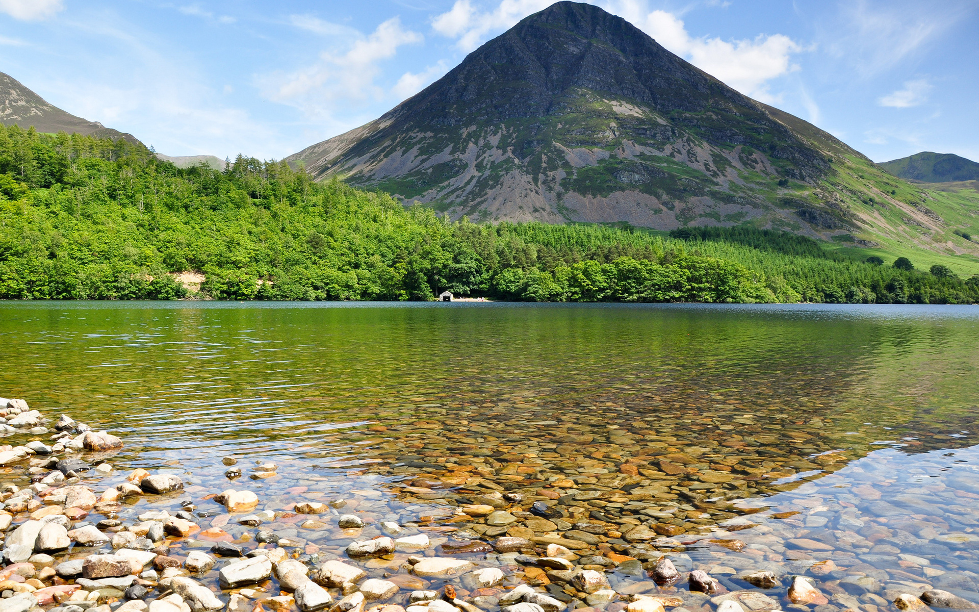 Wallpapers De Arboles Taringa Taringa Sin Perdidas Extension Opera