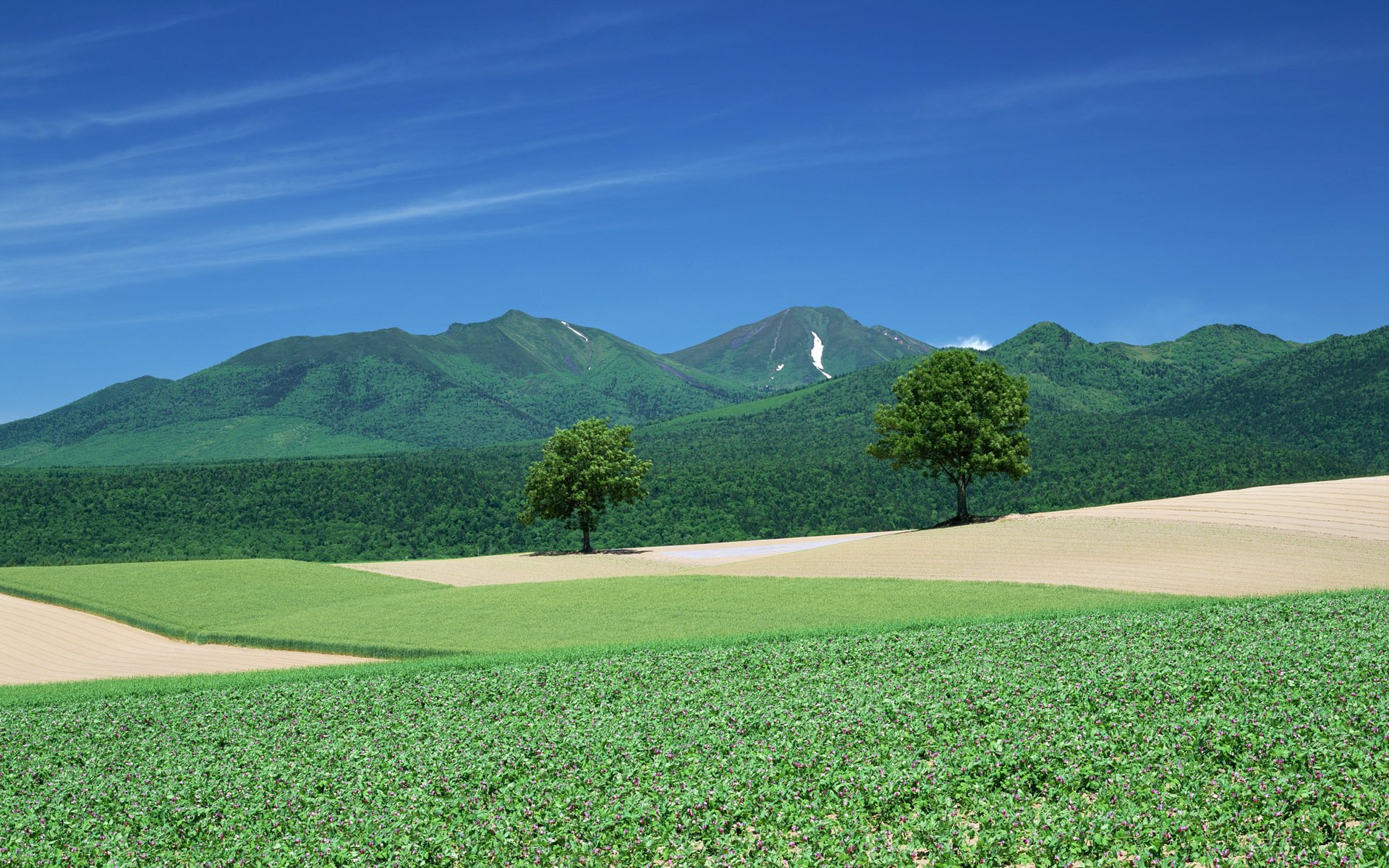 Download Nature Landscape HD Wallpaper | 1920x1200 | Wallpaper Abyss