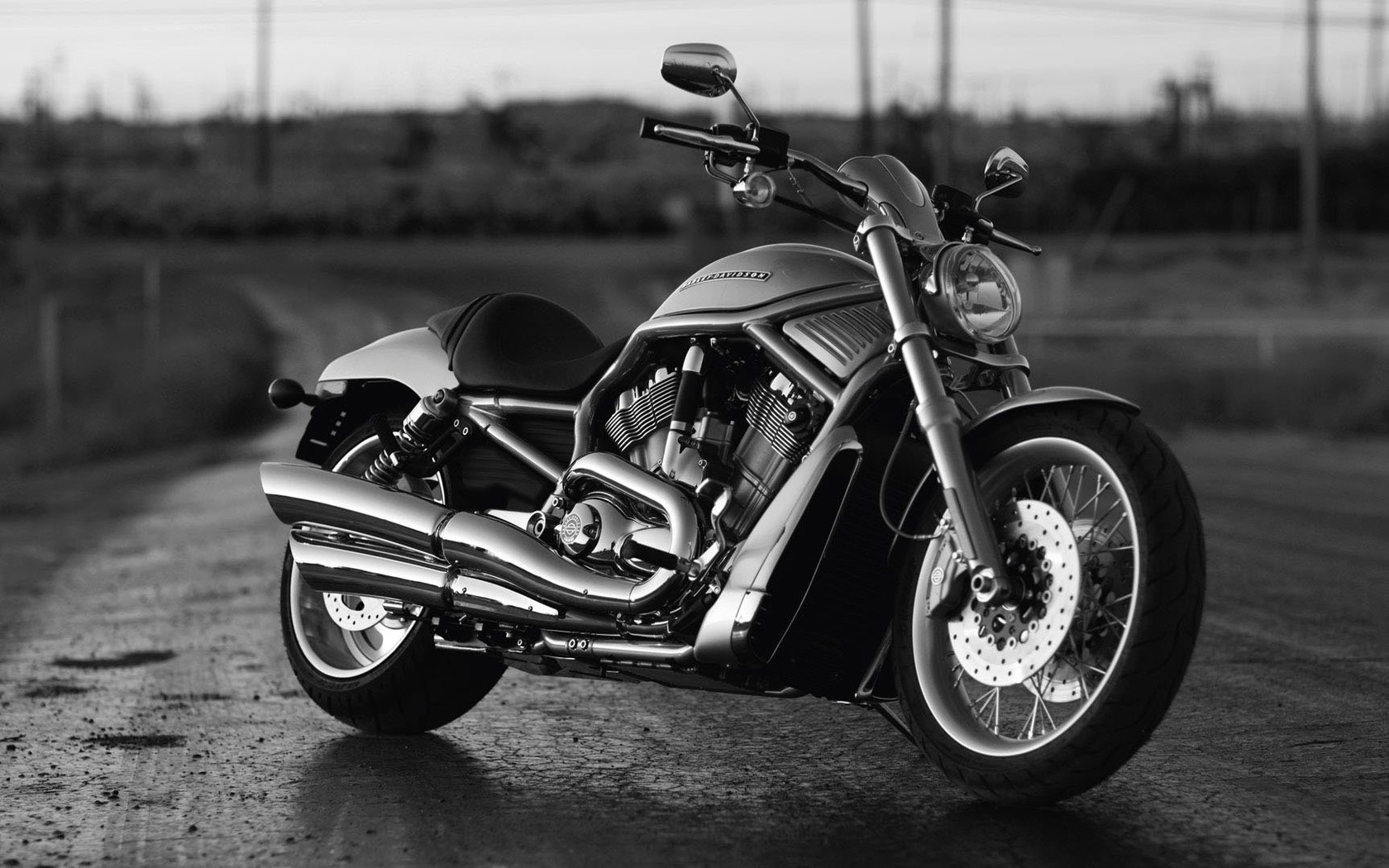 Download Vehicle Harley-Davidson V-Rod Wallpaper