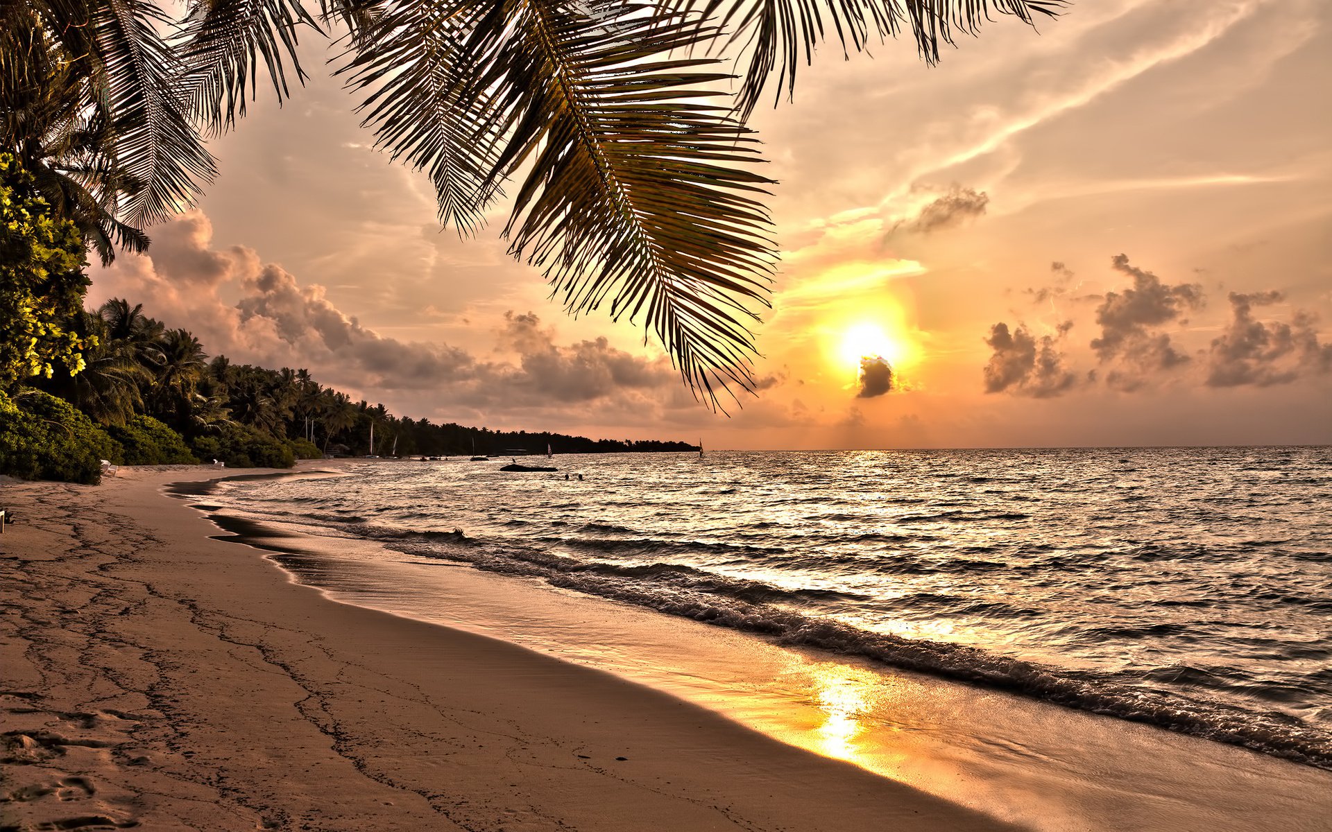 Download Nature Beach HD Wallpaper | 1920x1200 | Wallpaper Abyss