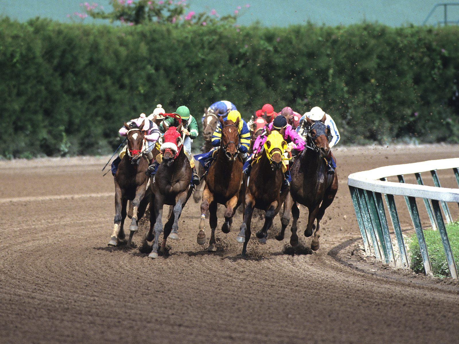 Horse Racing Wallpaper