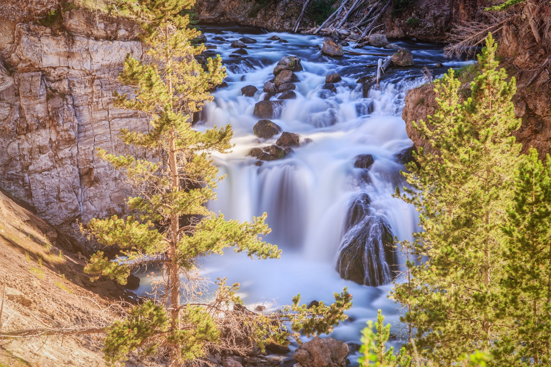 Download Stone Firehole Falls Yellowstone Wyoming Tree Nature Waterfall ...