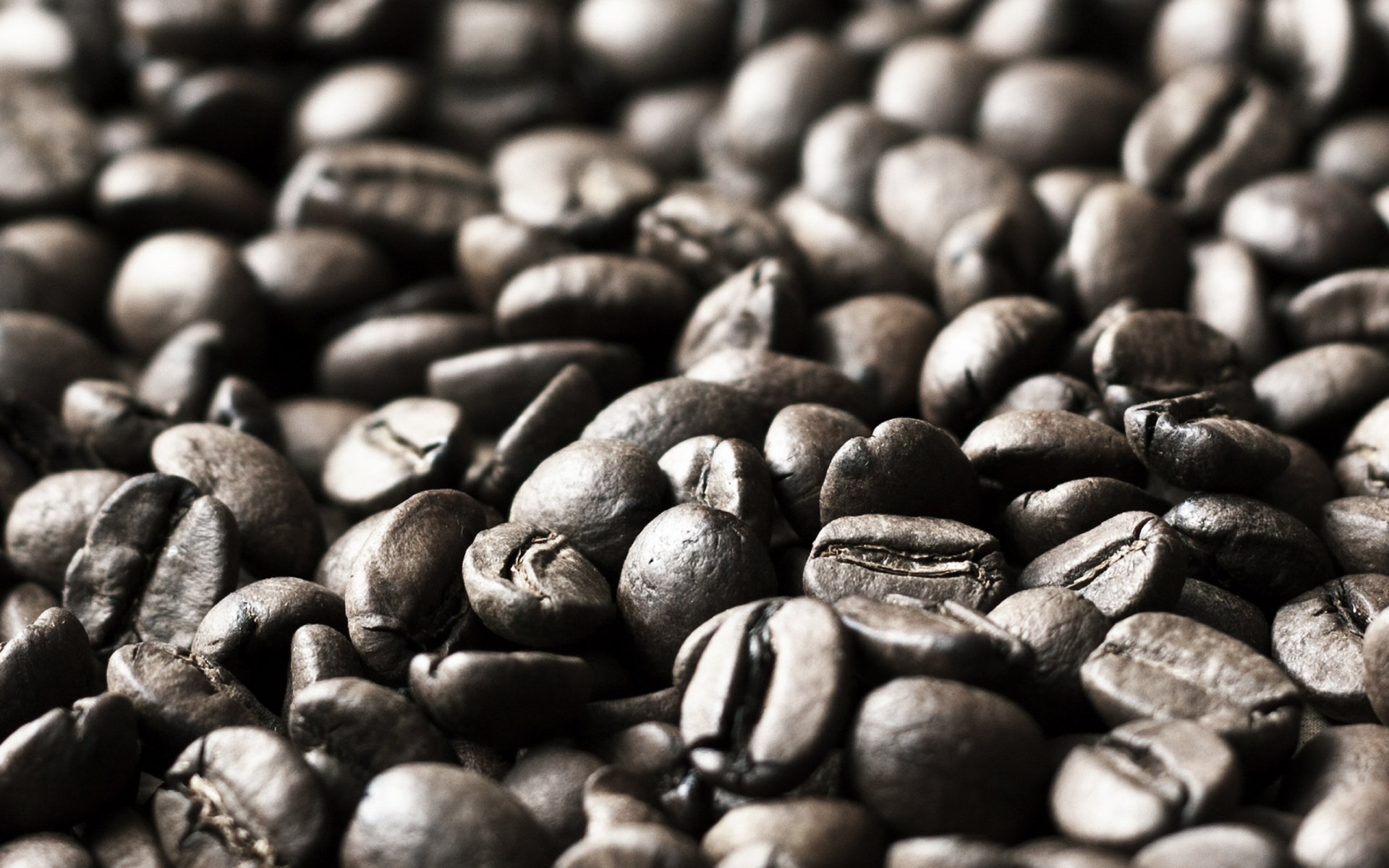 Rich Coffee Beans: A Stunning HD Wallpaper