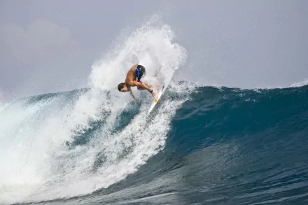 Surfing - Desktop Wallpapers, Phone Wallpaper, PFP, Gifs, and More!