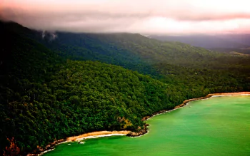Daintree Rainforest Computer Wallpapers