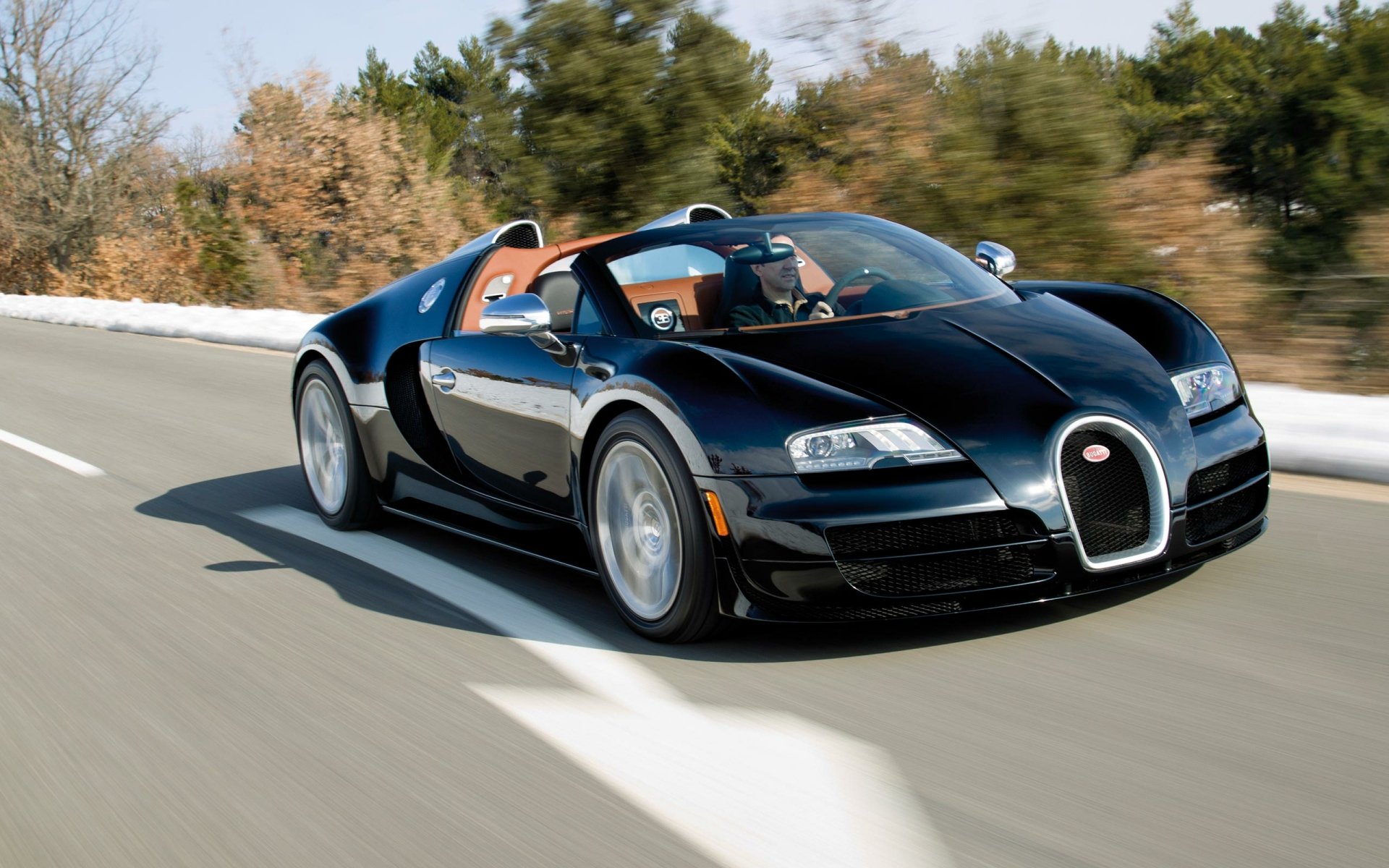 Bugatti Veyron HD Wallpaper – Sleek Power on the Open Road | 2560x1600 ...