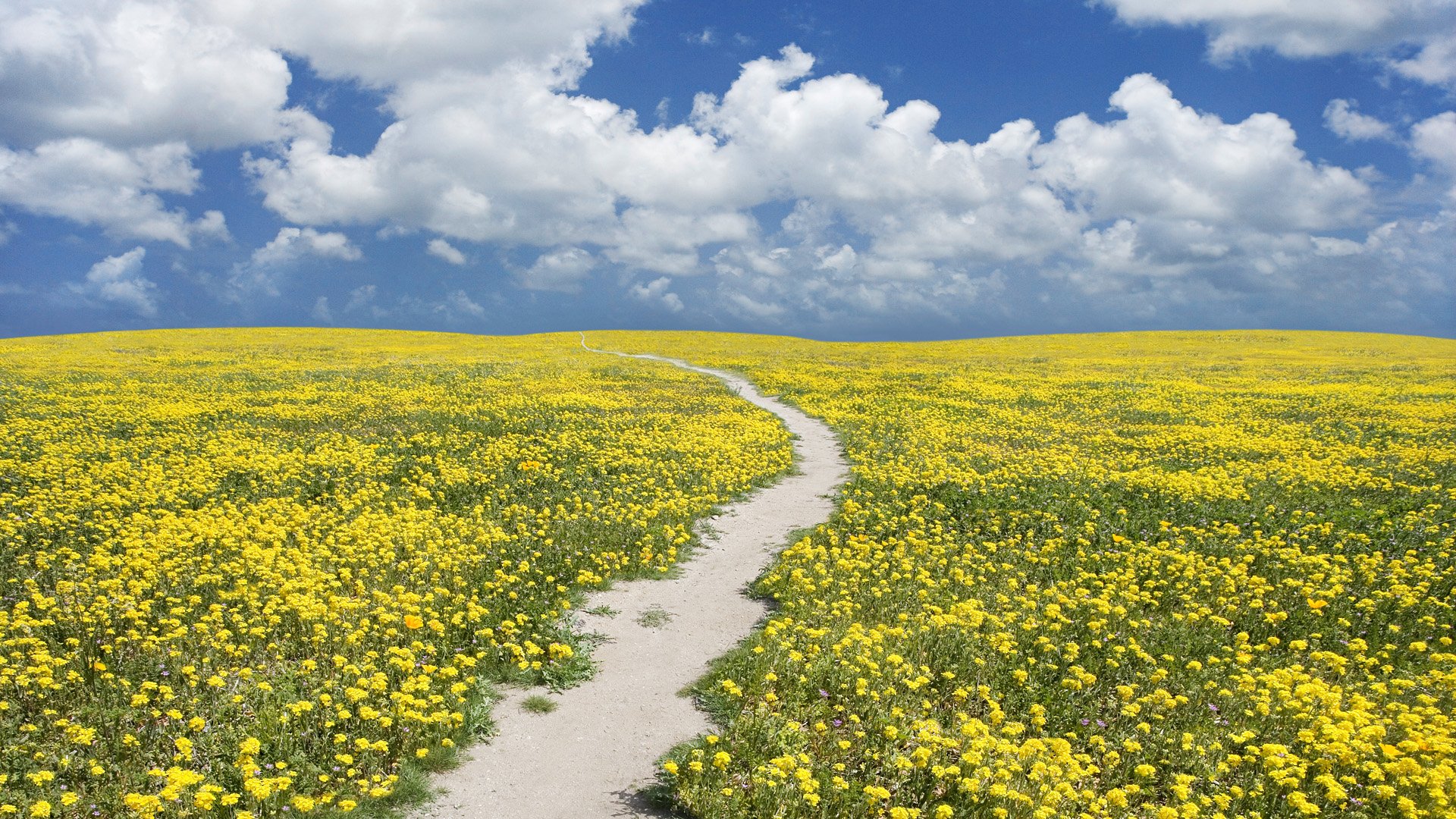 Download Man Made Path HD Wallpaper