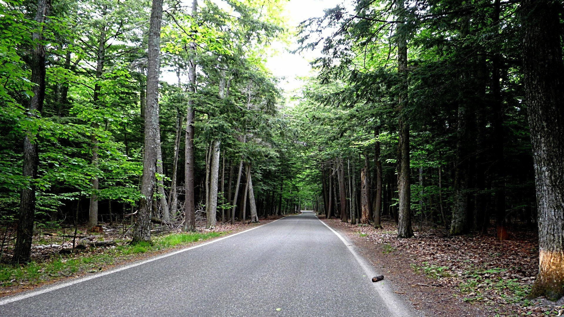 Download Man Made Road HD Wallpaper | 1920x1080 | Wallpaper Abyss