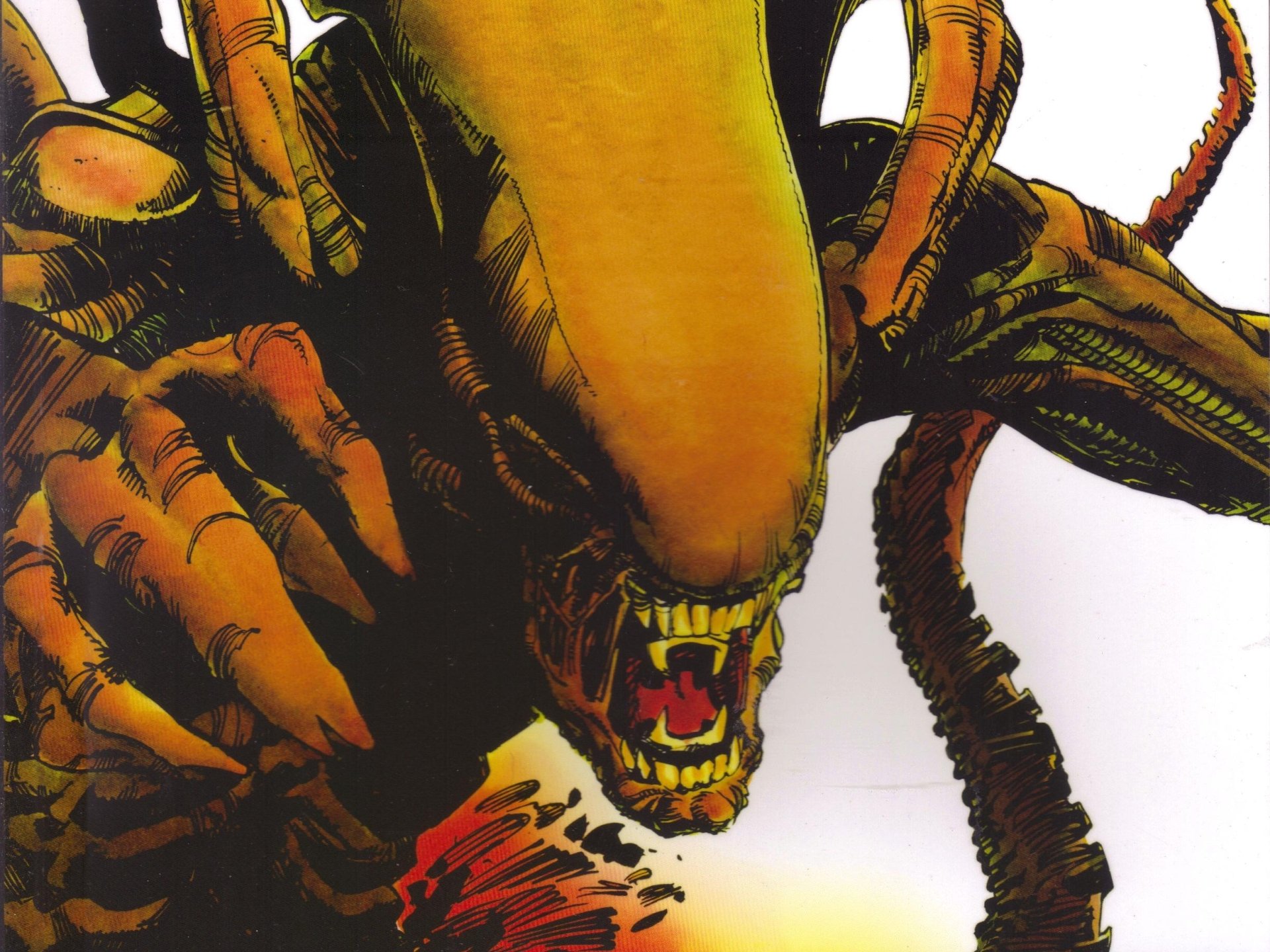 Download Xenomorph Comic Alien HD Wallpaper