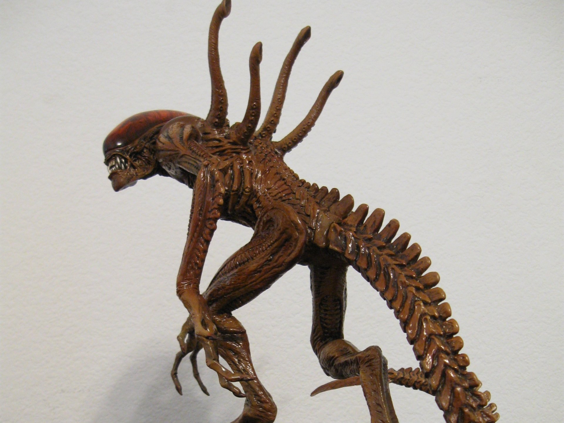 Alien Encounter: HD Movie Wallpaper Showcase