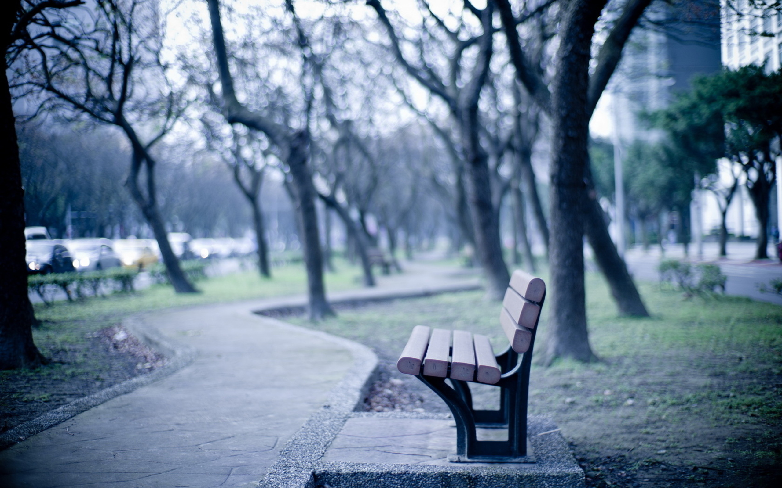 Download Man Made Bench HD Wallpaper