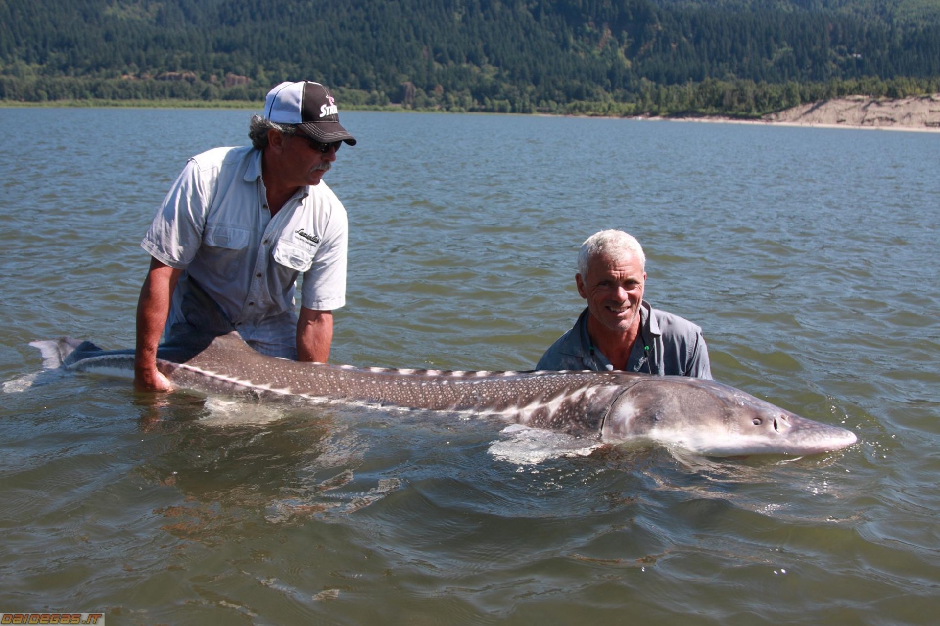 River Monsters HD Wallpaper: Capturing the Thrill of Adventure