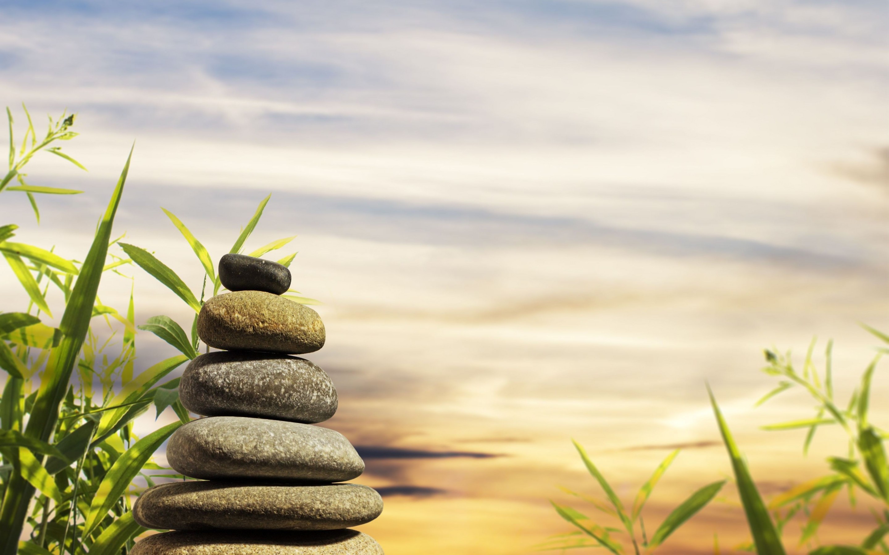 Nature Passage Wallpapers Stone