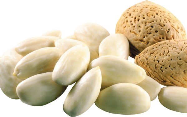 Almond HD Wallpaper | Background Image | 2880x1800 | ID:436244 ...