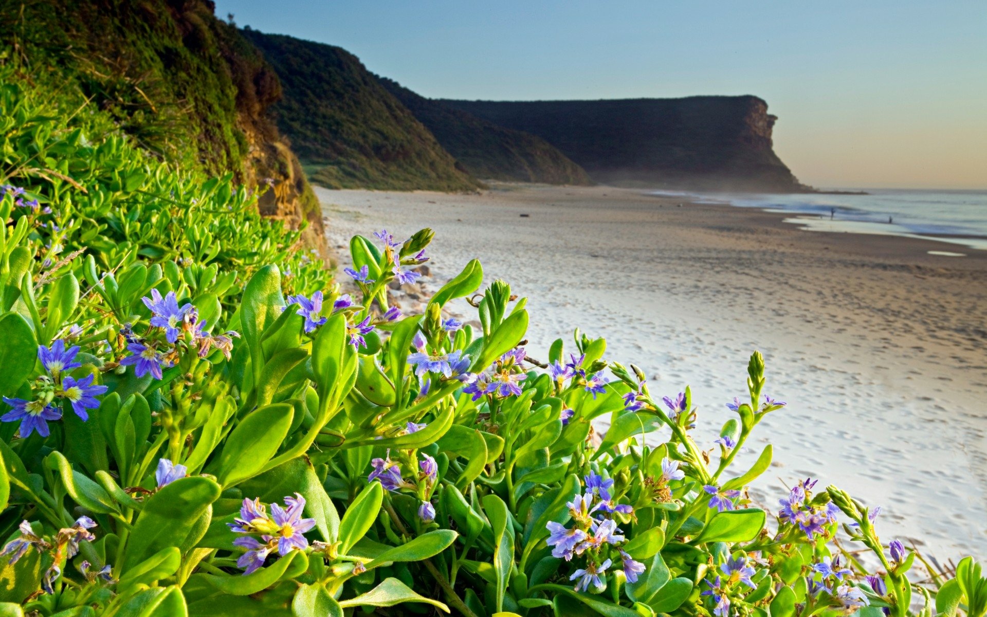 Download Nature Beach HD Wallpaper