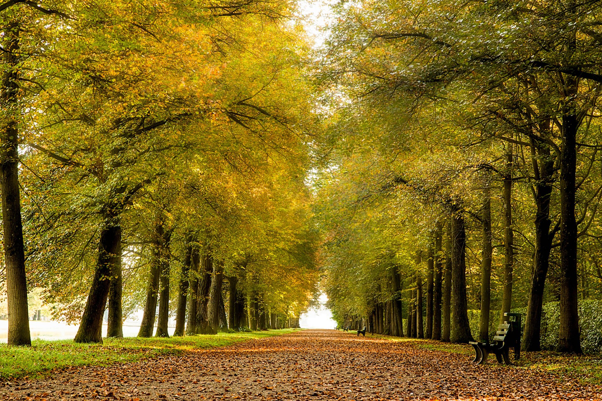 Serene Autumn Walkway: A Man-Made Pathway HD Wallpaper