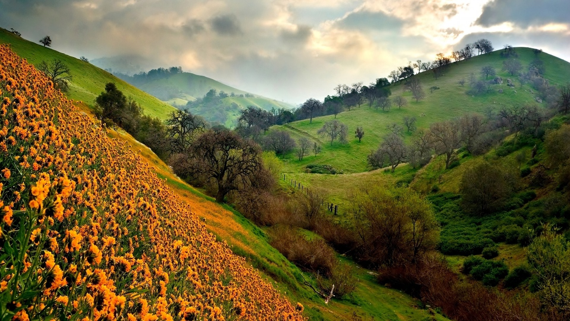 Download Nature Mountain HD Wallpaper