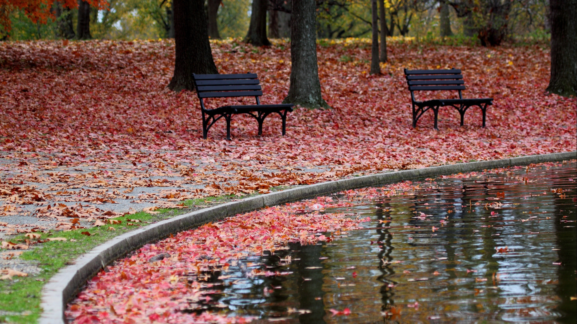 Download Man Made Bench HD Wallpaper