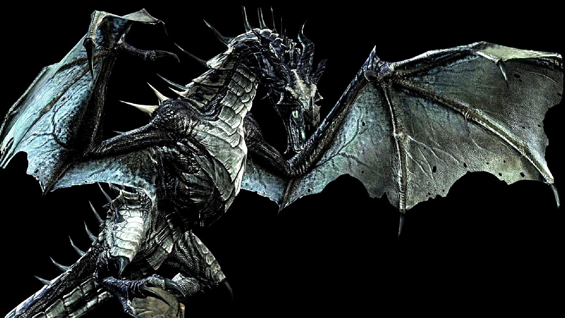 Skyrim HD Dragon Wallpaper – Epic Elder Scrolls V Visuals