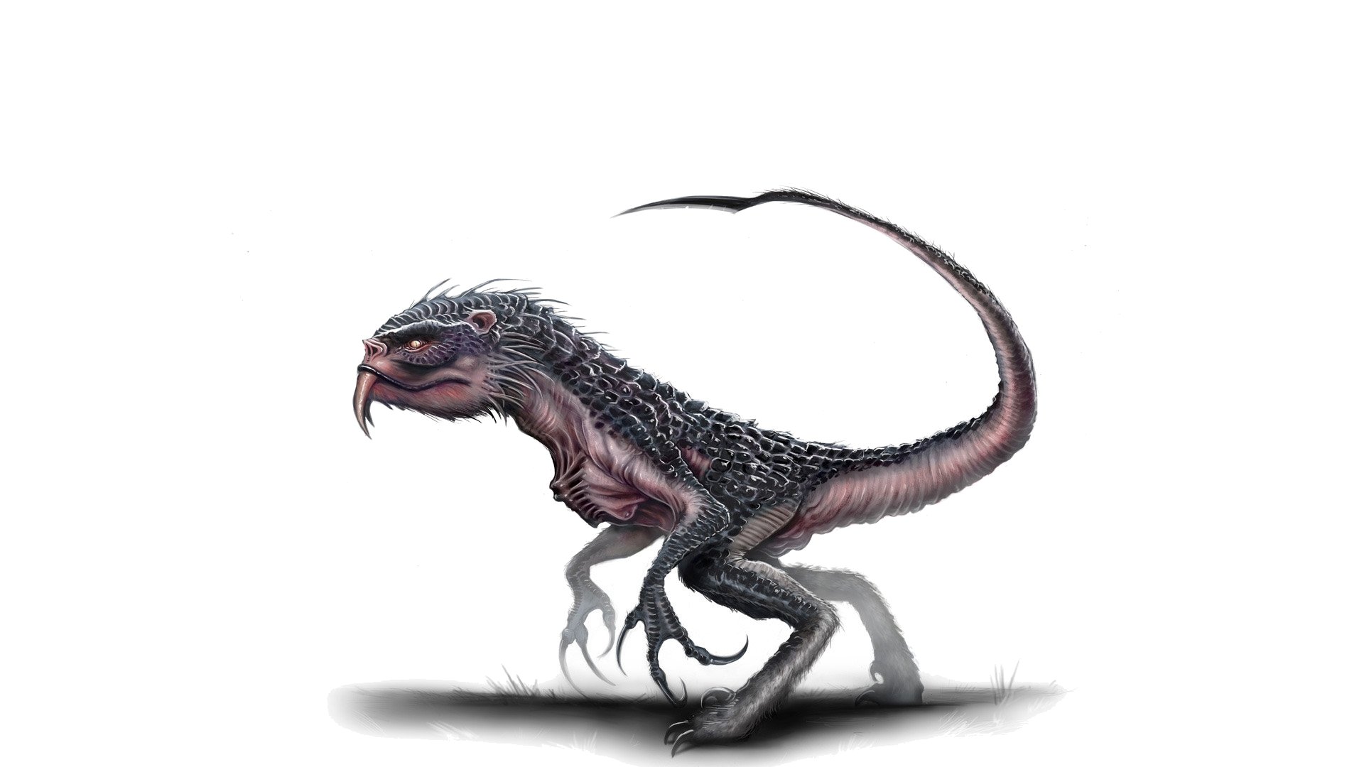 Download Fantasy Creature HD Wallpaper